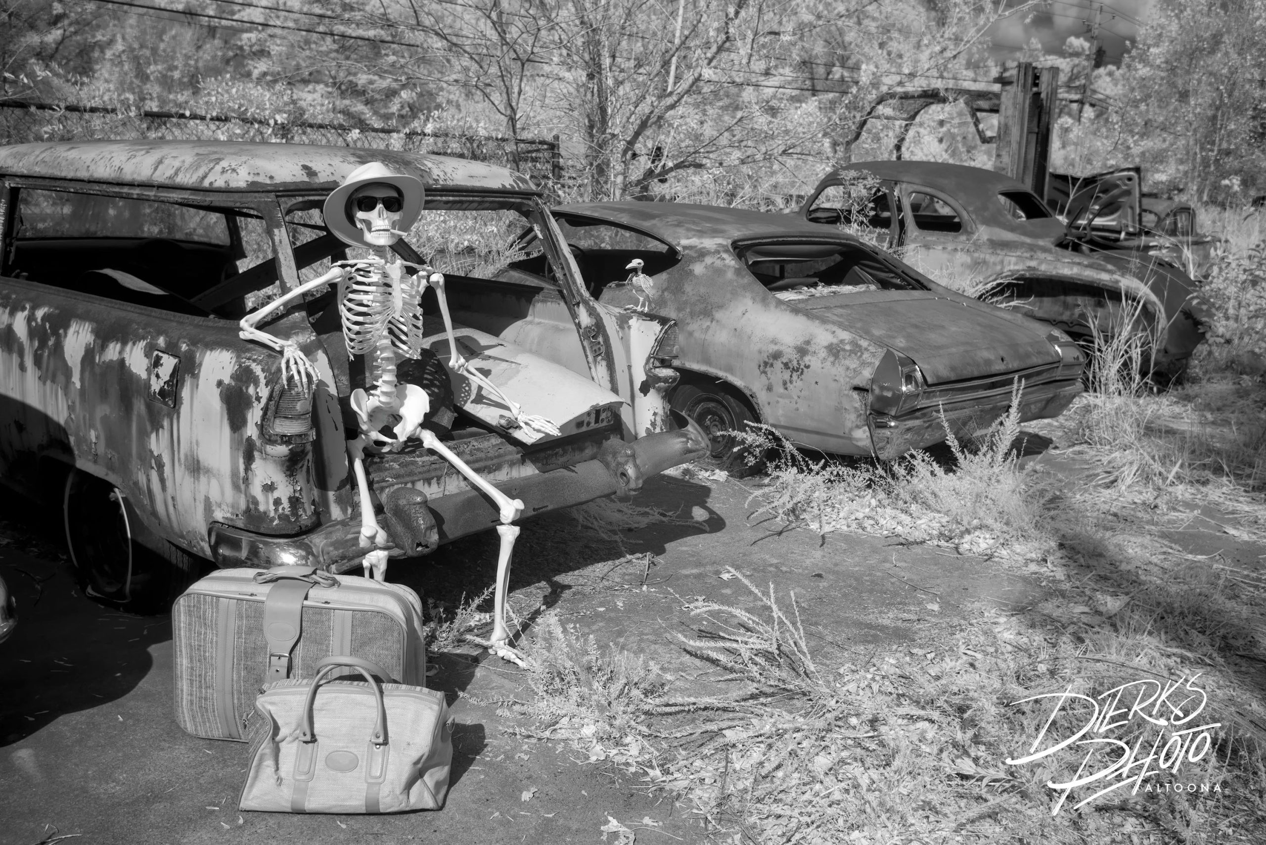 Traveling Skeleton Spook Waiting For Bus | Funny Skeleton Photos